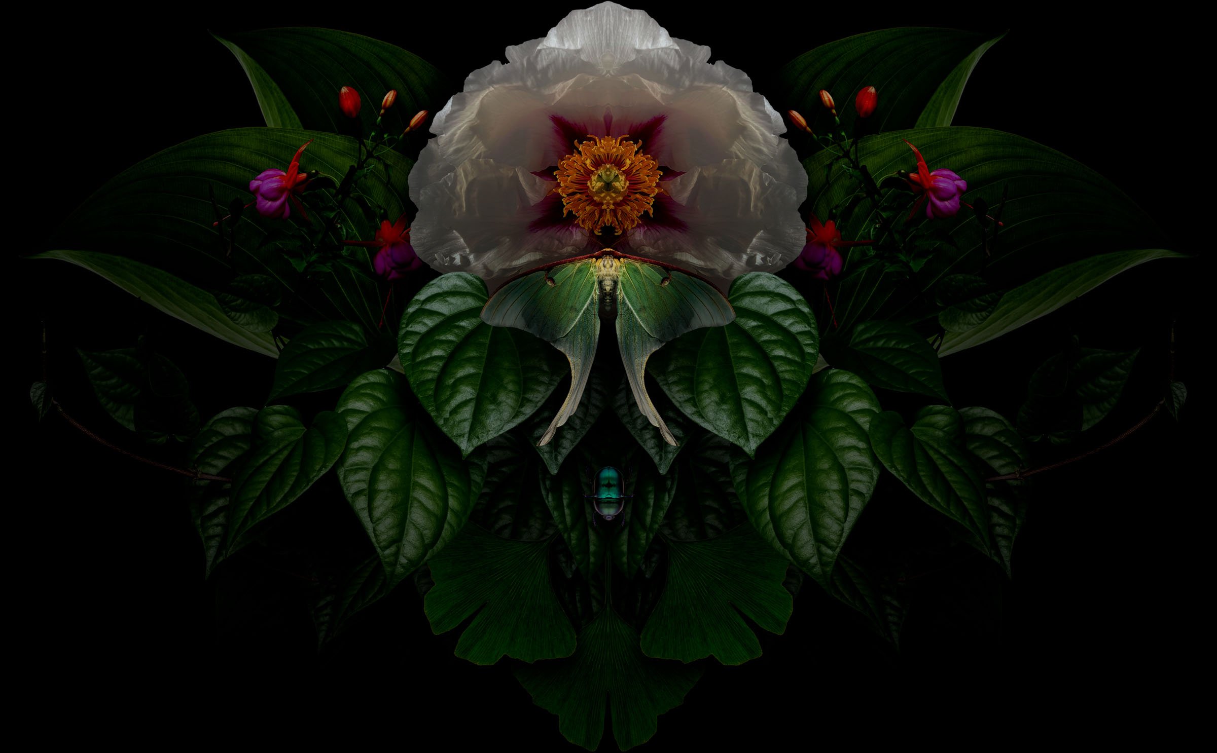 Soul Magic by Natalie Barney | Guided Meditations & Intuitive Support